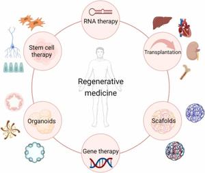 Regenerative Medicine Advancements: Transforming Healthcare